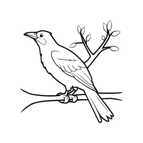 Premium Vector Crow Coloring Pages Crow Bird Outline Vector For