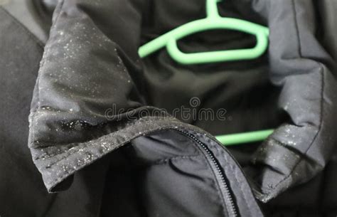 Close Up Of A Black Down Jacket With Mold On It Stock Image Image Of