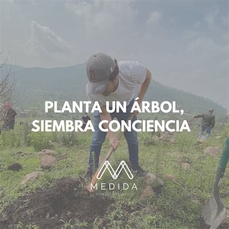 Planta Un árbol Siembra Conciencia Medida México Ac
