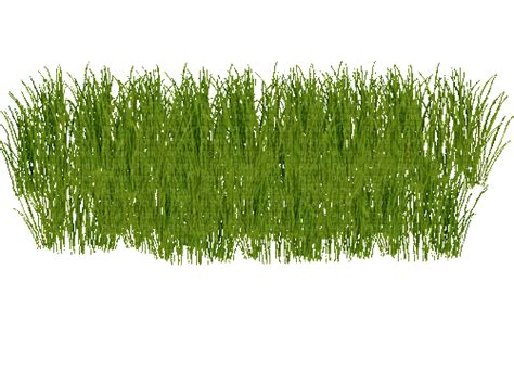 Grass Garden Plant Jardin Gras Grass Free Animated  Picmix