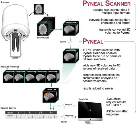 Pyneal Openbehavior