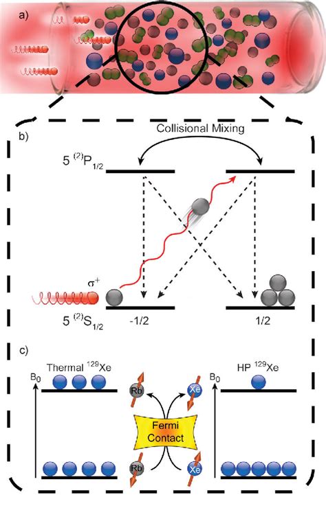 Figure 2 From Nmr Hyperpolarization Techniques For Biomedicine