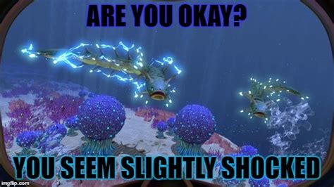 Funny Subnautica Pictures And Memes — Unknown Worlds Forums