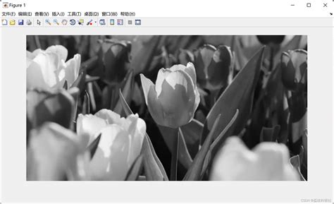 基于多尺度形态学梯度进行边缘检测（matlab代码实现） Csdn博客