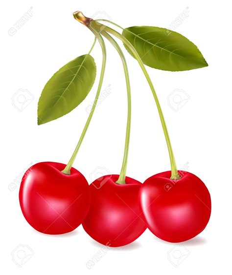 Page 2 For Cherry Clipart Free Cliparts And Png Cherry Single Cherry