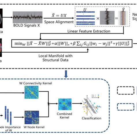 The Flow Chart Of Our Proposed Method For Constructing Unified Brain