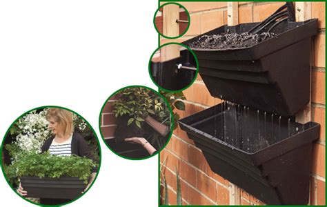 Diy Vertical Garden Guide