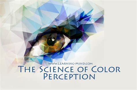 The Science Of Color Perception 3 Things That Influence The Way We See Colors Learning Mind
