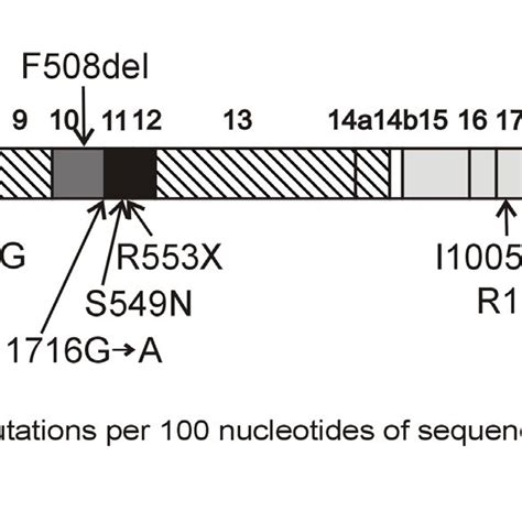 Schematic Illustration Of The Different Classes Of Cftr Mutations