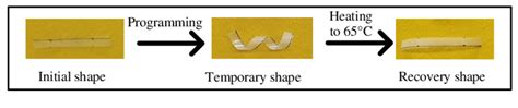 Pictures Showing The Shape Memory Process Download Scientific Diagram