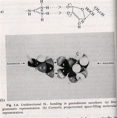 Sherry Lewins Vitamin C Molecular Models