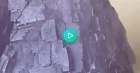 Etched Fluorite From Yunnan China Album On Imgur