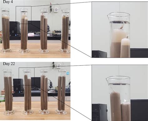 Difference In Settling State Of Samples During Artificially Leaching At