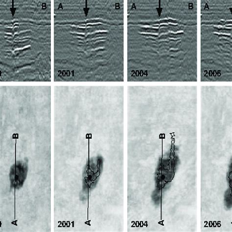 Cross Section From The Time Lapse 3d Seismic Data At Sleipner Showing Download Scientific