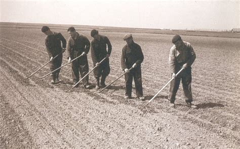 Suiker Unie 18 Vereniging Bedrijf Historie