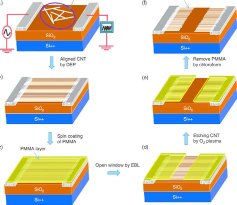 Schematic Illustration Of Carbon Nanotube Aligned Array Electrodes