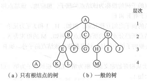 数据结构——树和二叉树最全总结（期末复习必备）数据结构树和二叉树知识点总结 Csdn博客