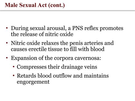 1 Male Reproductive Ppt Free Downloadddf Ppt