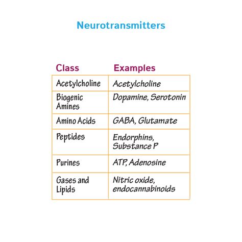 Neuroscience Fundamentals Glossary Neurotransmitters Ditki Medical
