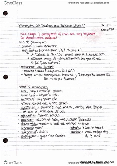 Biol 228 Lecture 5 Prokaryotic Cell Structure And Function Part 1 09