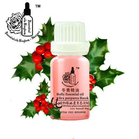 Free Wintergreen Leaf Cliparts Download Free Wintergreen Leaf Cliparts