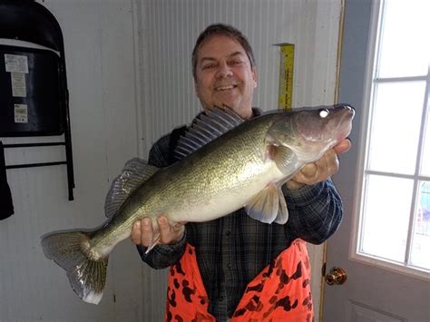 Ice Action For Walleyes And Saugers Is Great On Lake Of The Woods With