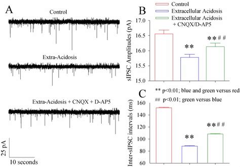 Acidosis Induced Dysfunction Of Cortical Gabaergic Neurons Through Astrocyte Related