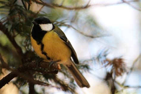 Времето във вторник Предимно слънчево със слаб вятър