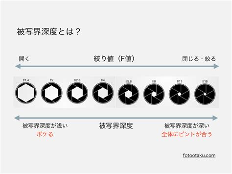 これだけで雰囲気が出せる！ボケた写真を撮る4つのコツ 写真 ボケ 写真撮影