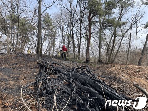 포천서 담뱃불 원인 추정 산불45분만에 주불 진화 네이트 뉴스