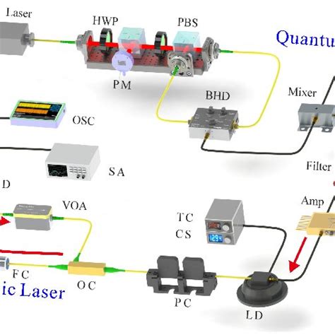 Schematic Illustration Of Experimental Setup Hwp Half Wave Plate