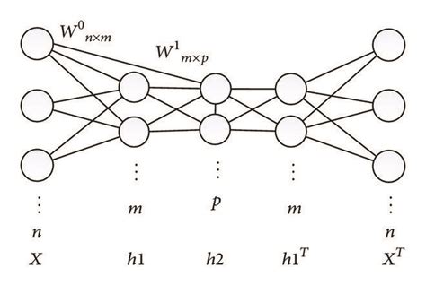 The Chaotic Matrix Generation Network Download Scientific Diagram