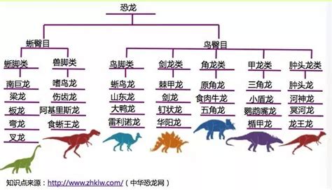 恐龙的种类及图片 恐龙的品种名字图片 伤感说说吧