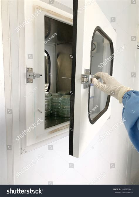 Pass Box Laboratory Stock Photo 1037956642 Shutterstock