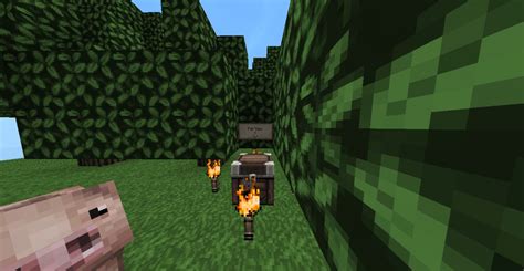 The Cube Survival Island Minecraft Map