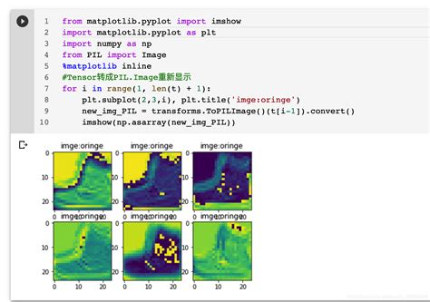 一分钟教你在pytorch跑模型的时候提取中间层查看图片pytorch 如何选取数据集中的一张图片 Csdn博客