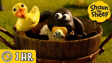 Shaun The Sheep 🐑 Timmys Bath Time And More 🧼 Full Episodes Compilation