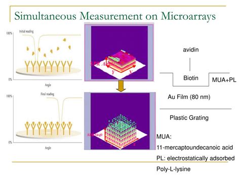 Ppt Grating Coupled Spr For Rapid Label Free Array Based Sensing Powerpoint Presentation