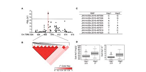 Analysis Of The Snp Peak And The Candidate Genes On Chromosome 4 A