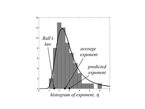 Ppt Histogram Of Exponent Powerpoint Presentation Free Download Id4798115