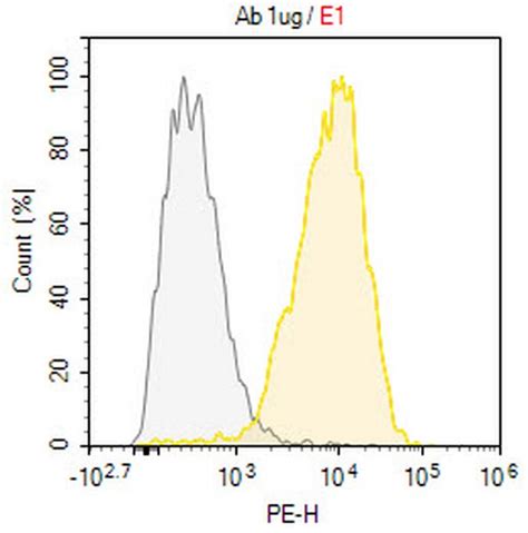 Anti C5ar1cd88 Antibody Clone P121 Mabf3371 25ug