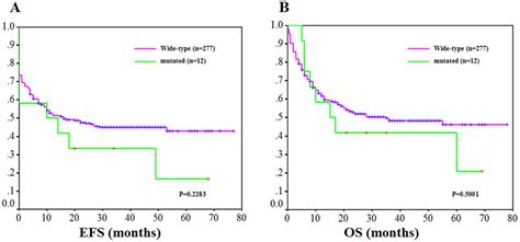 Kaplan Meier Survival Curves According To Ezh2 Mutation Status A Efs