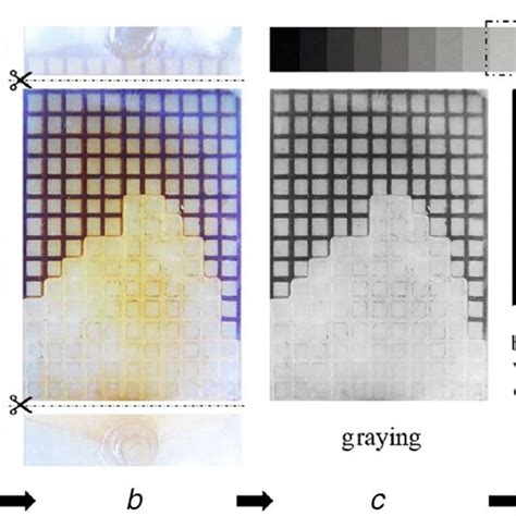Process Of Designing A Pattern For The Pyrophyllite‐based Microfluidic