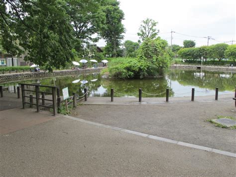 本丸跡松月院氷川神社東京大仏植物園板橋区赤塚城址と周辺を歩く 東上沿線物語