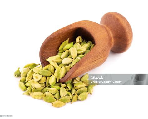 흰색 배경에 고립 된 나무 특종에 카르다몬 씨앗 녹색 카다몬 포드 더미 개체 그룹에 대한 스톡 사진 및 기타 이미지 개체 그룹 건강한 식생활 건조한 Istock