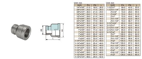 Rp8 X Rp6 Cl150 Bsp Reducing Socket 316 Prochem