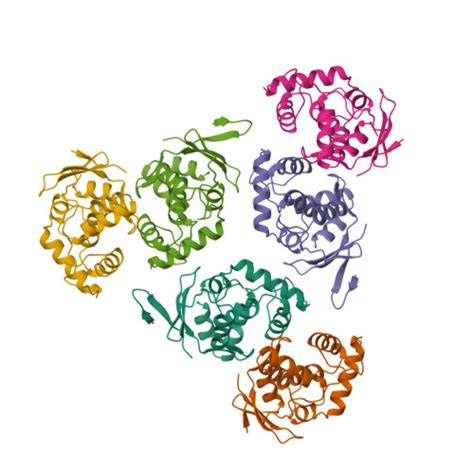 Rcsb Pdb 1ae9 Structure Of The Lambda Integrase Catalytic Core