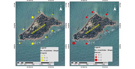 B Showing Shape Classification Of Plastics In Reef Sediments Download Scientific Diagram