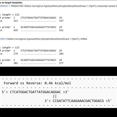 Bioinformatic Primer Analysis Results For Vcam1 Primer A Analysis
