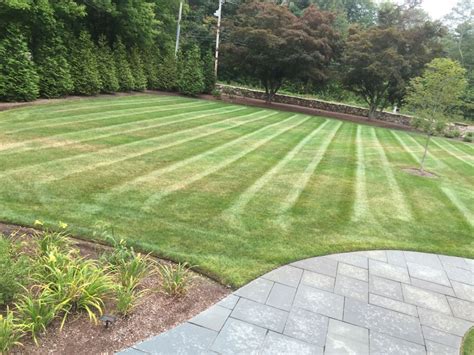 Importance Of Regular Lawn Maintenance 4 Seasons Services Lawn Care